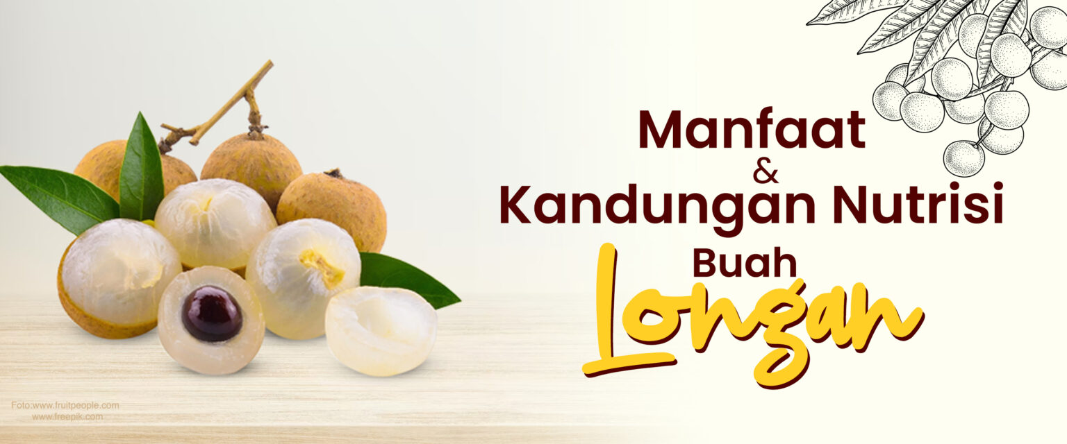“Manfaat dan Kandungan Nutrisi Dalam Buah Longan” – Asia Pramulia