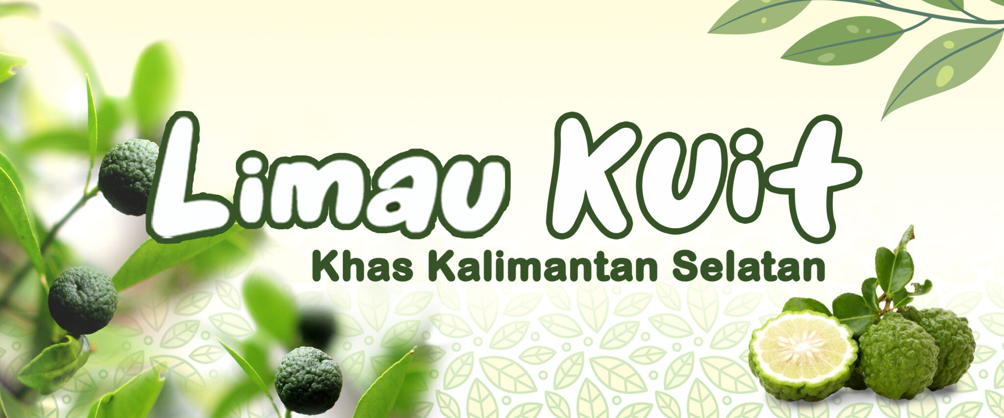 “Limau Kuit Khas Kalimantan Selatan” – Asia Pramulia